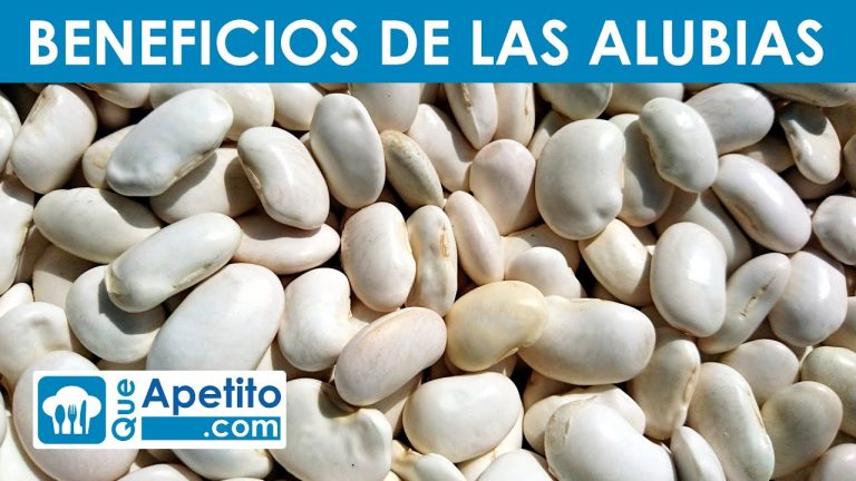 Las Mejores Alubias: Descubre Qué Tipo de Alubias Son las Más ...