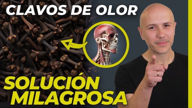 Clavos de Clavo de Olor de la India: Beneficios, Usos y Recetas ...